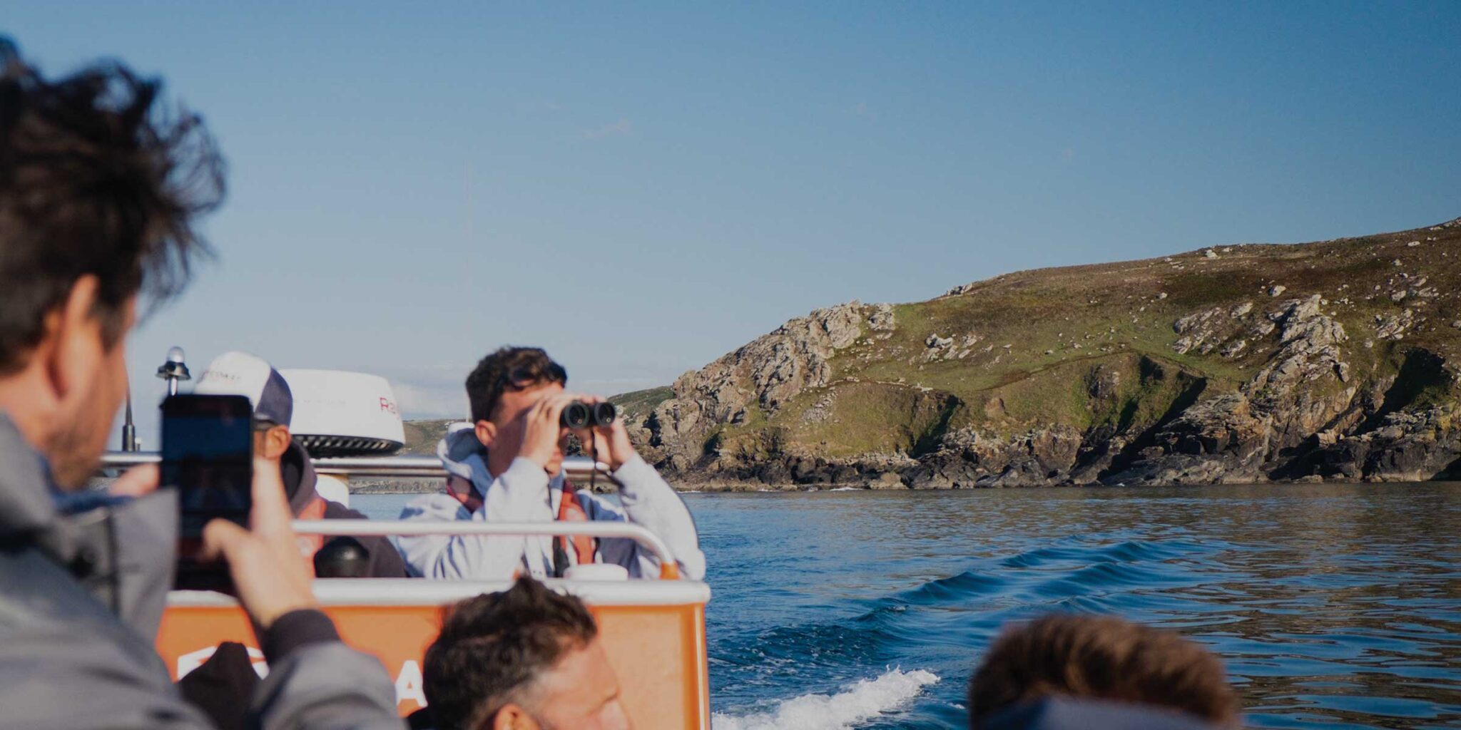 Humpback Whales In Cornwall. - Coast Boat Trips Cornwall